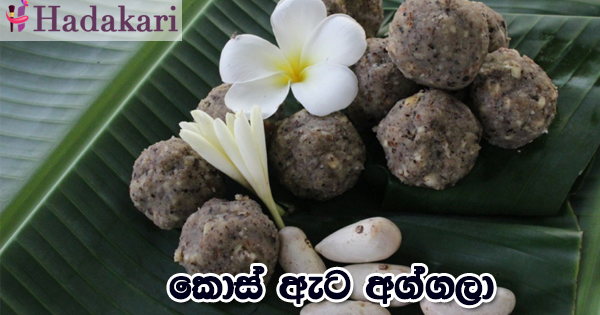Kos Ata Aggala (Jak Seed Aggala) ~ කොස් ඇට අග්ගලා | Hadakari.lk
